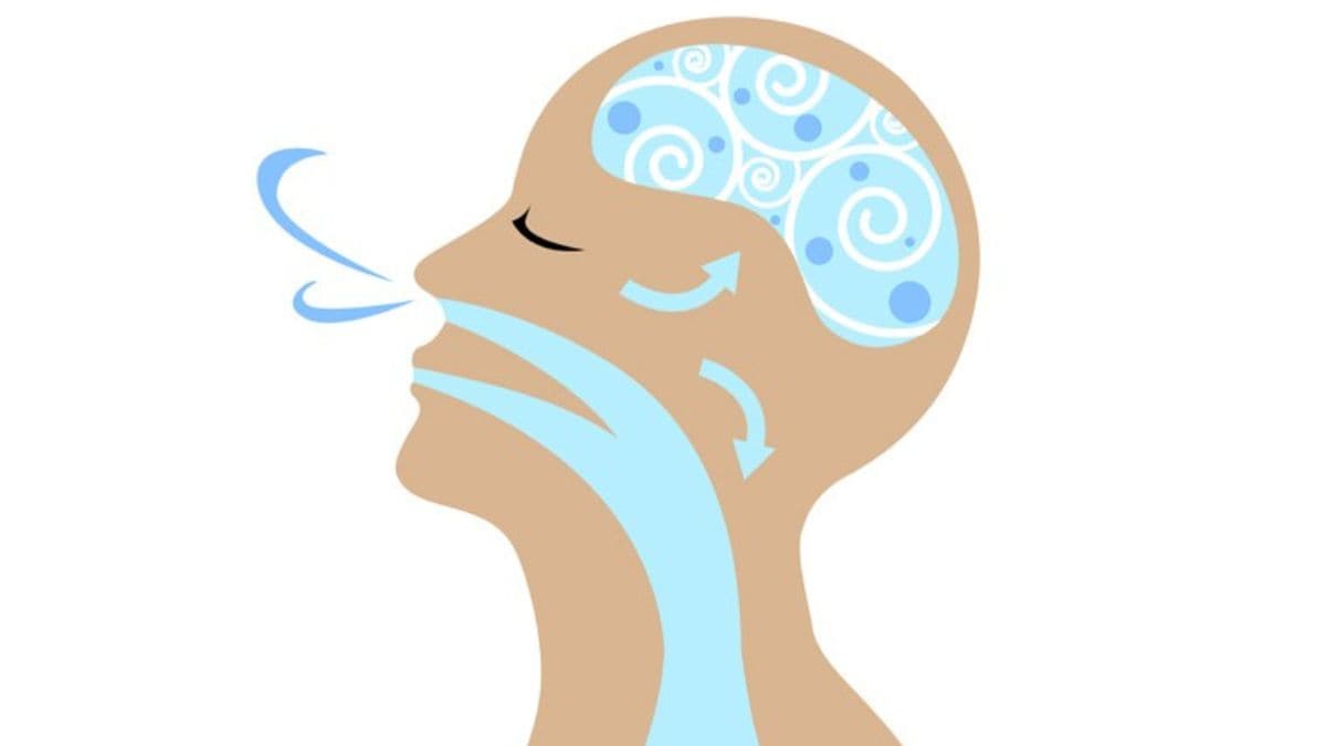 Are you a mouth breather? How this overlooked habit quietly ruins your ...