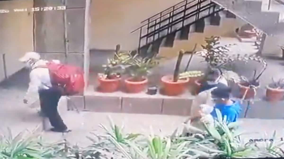 DU professor murder: Suspected family entered flat wearing masks, left ...