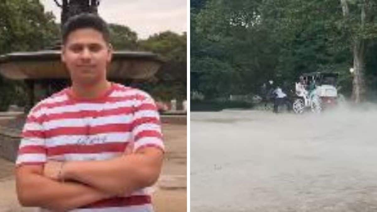 How did 18-year-old Romanch Mahajan die? Freak horse accident in New ...