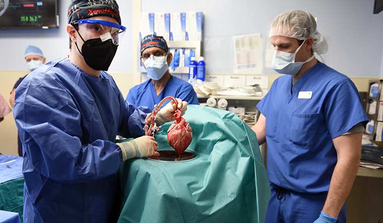 How David Bennett Sr became the first pig heart transplant recipient
