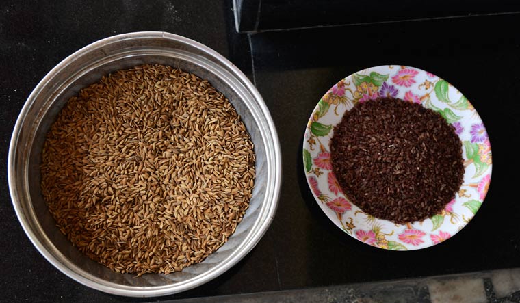 Trouble looms for ancient Indian grain that combats climate- The Week