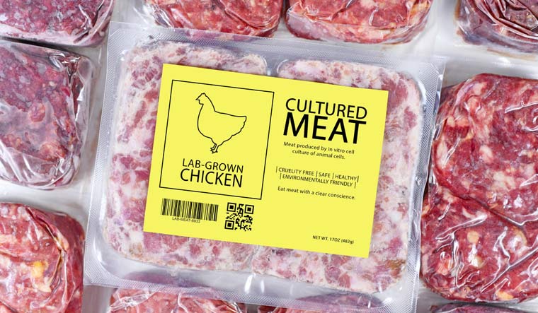 Lab-grown meat to hit the US market, but is it safe for consumption ...