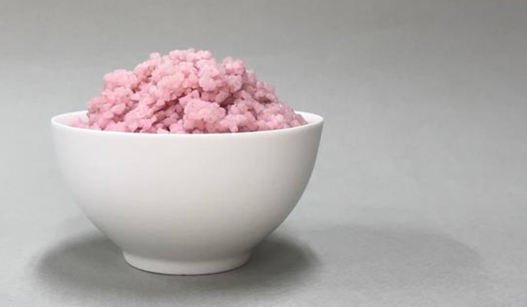 Scientists cultivate hybrid food by growing animal cells in rice grains ...