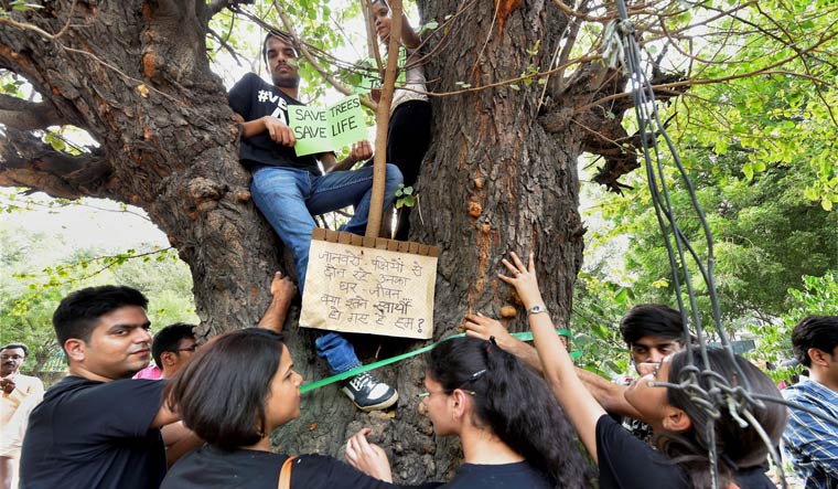 Delhi: Felling of trees halted till July 4 after HC prod- The Week