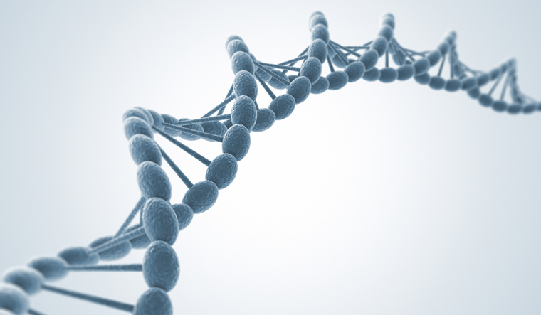 Scientists identify genes that could be key to human evolution- The Week