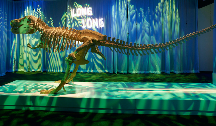 DNA analysis may help figure out how dinosaurs looked- The Week