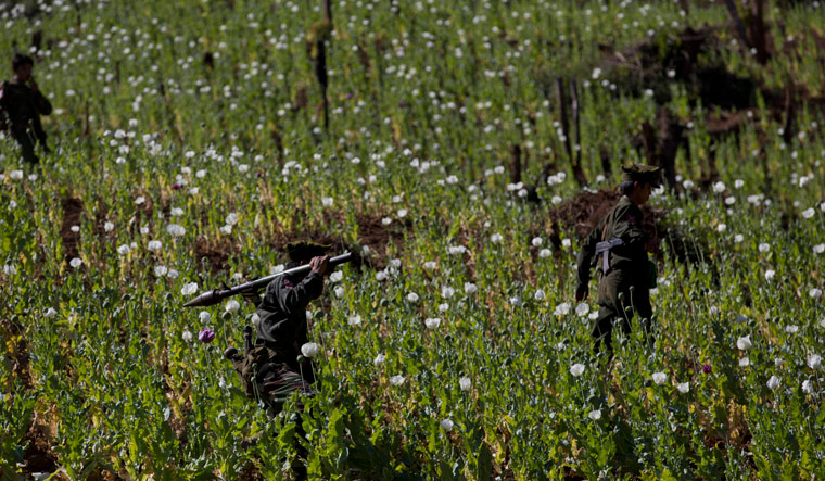 How war-torn Myanmar became the world's top opium producer- The Week