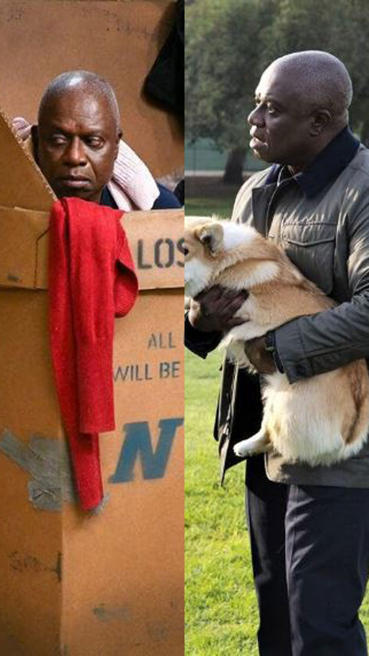 Entertainment - The Week