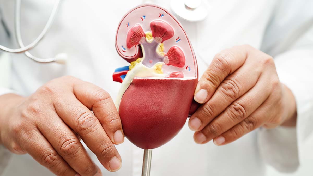 Four chronic kidney disease patients talk to THE WEEK about their ...