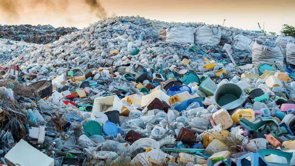 Effective waste management and circular economy crucial to urban ...