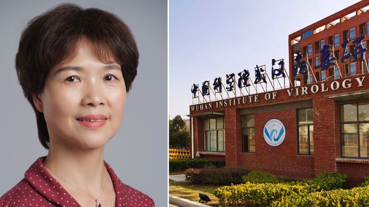 Who is Shi Zhengli? Meet the 'batwoman' who discovered HKU5-Cov-2 ...