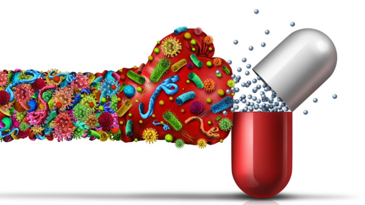 'Use antibiotics judiciously' is the message at CIDSCON 2025- The Week