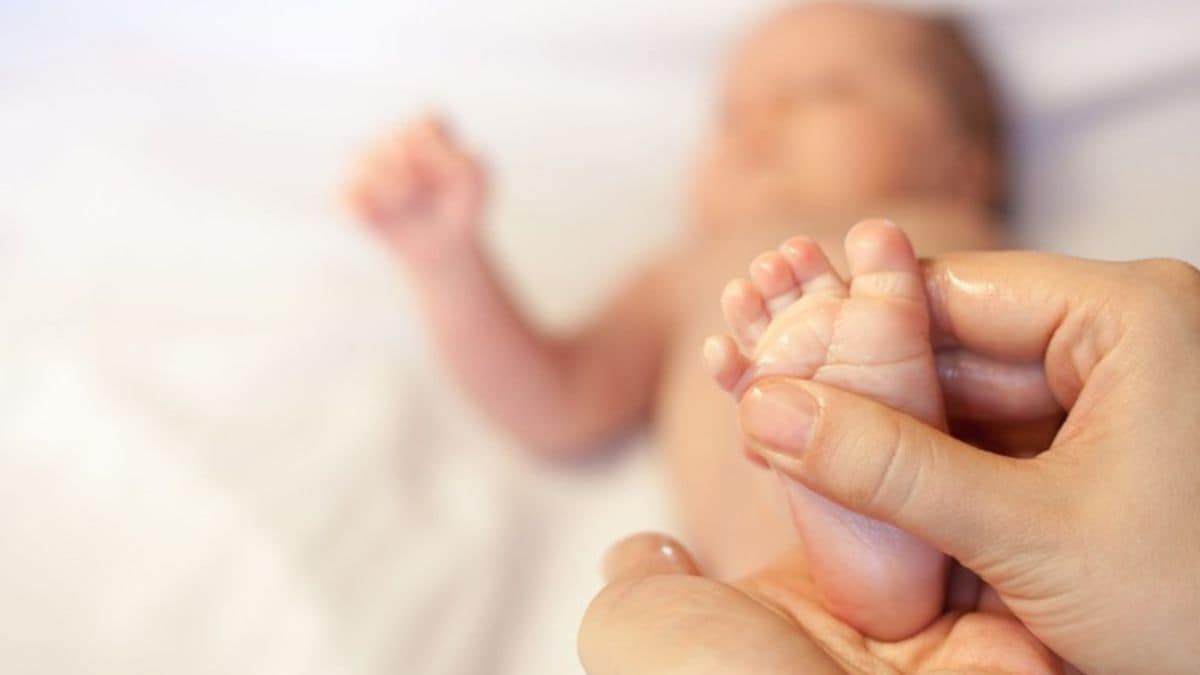 India's fertility decline continues: Maharashtra, Karnataka and Gujarat ...