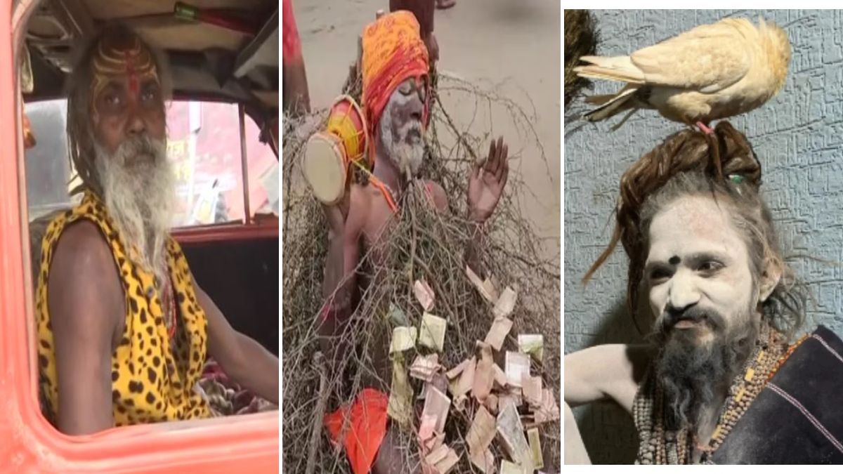 Mahakumbh 2025 newsmakers: Monalisa Bhosle, IIT baba, Mamta Kulkarni ...