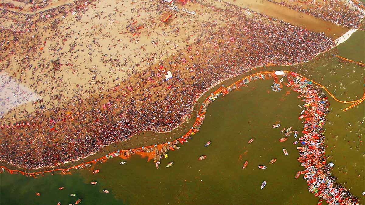 For the first time, a bird fest likely to be organised along with Maha ...