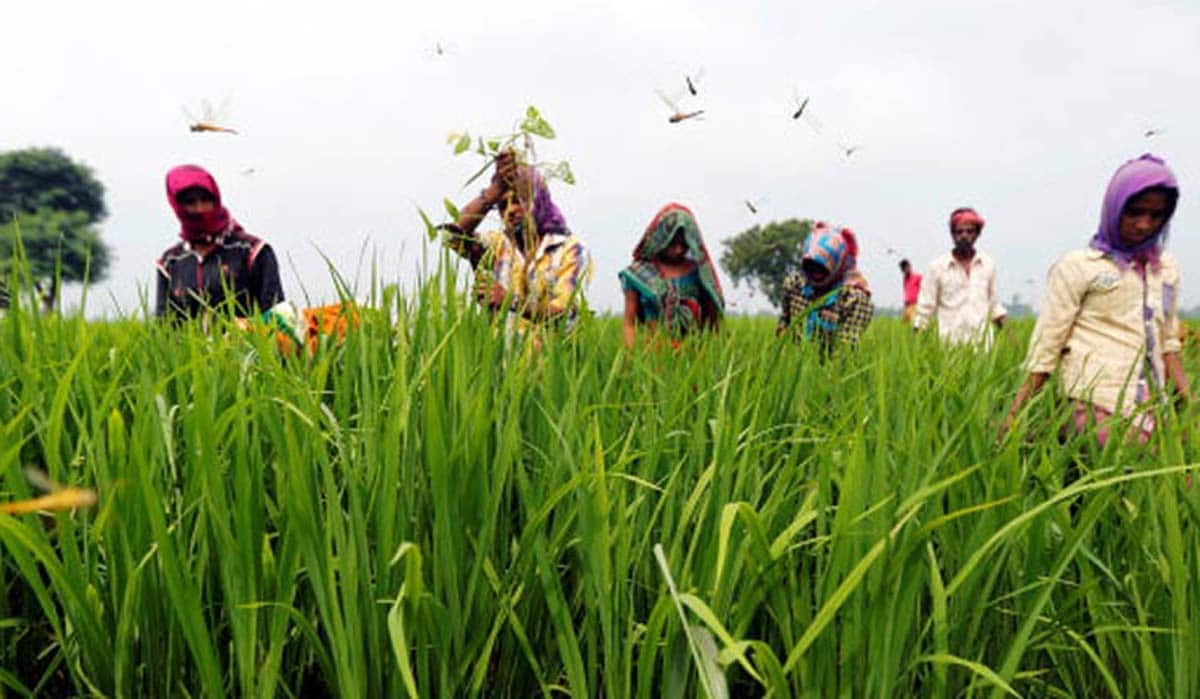 Learning from the land: Using indigenous knowledge for climate ...