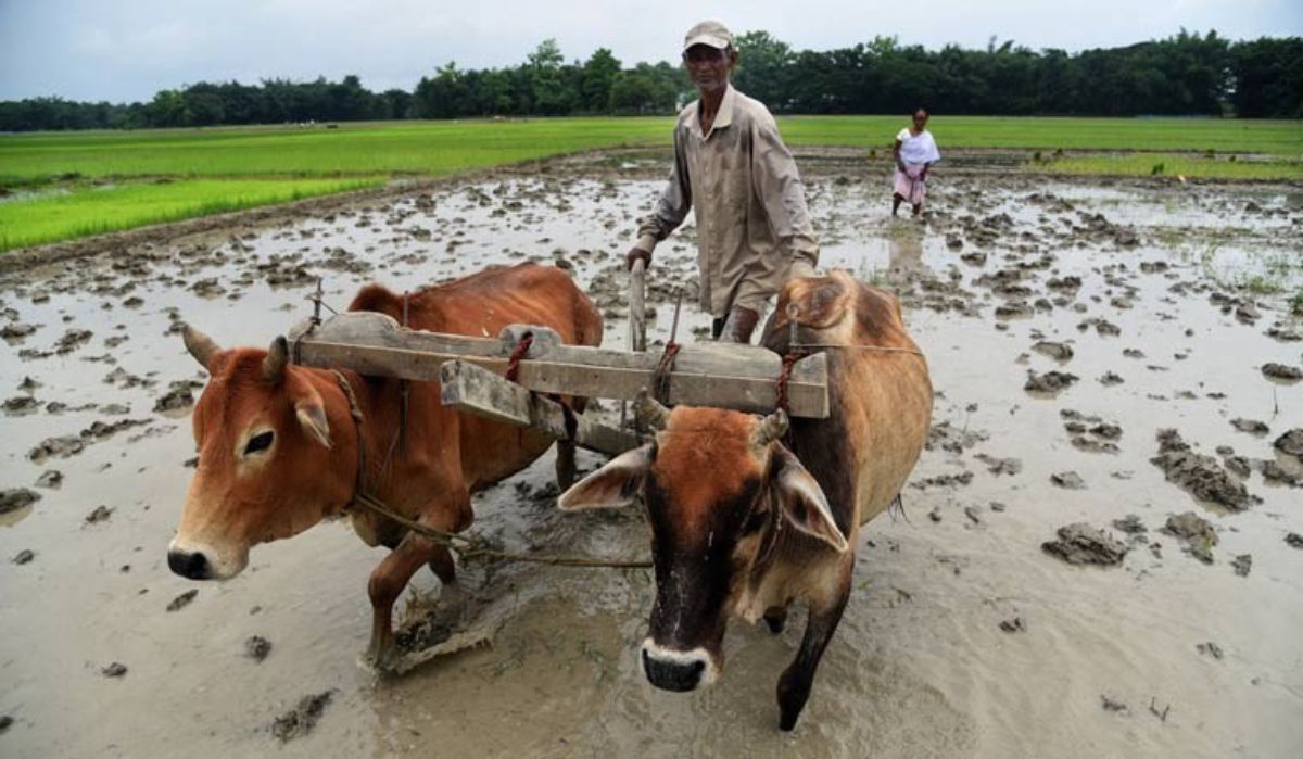 Lack of cold storage facilities, awareness among farmers result in food ...