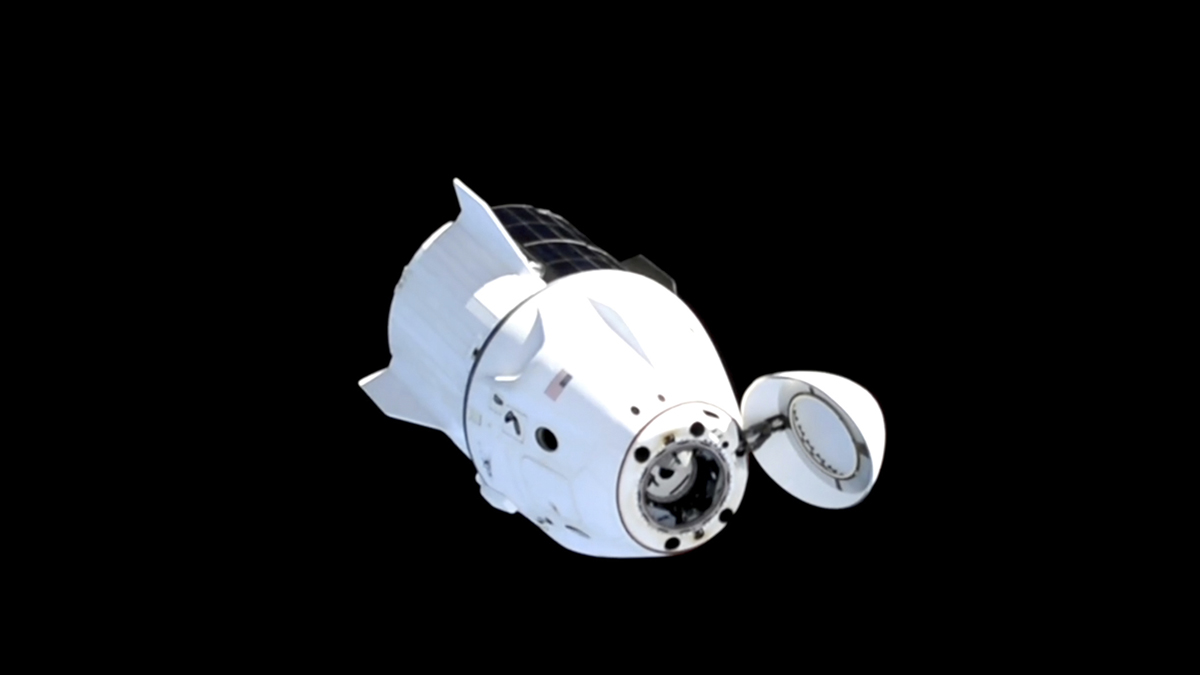 Stuck in space for 9 months, NASA astronauts Butch Wilmore, Suni ...