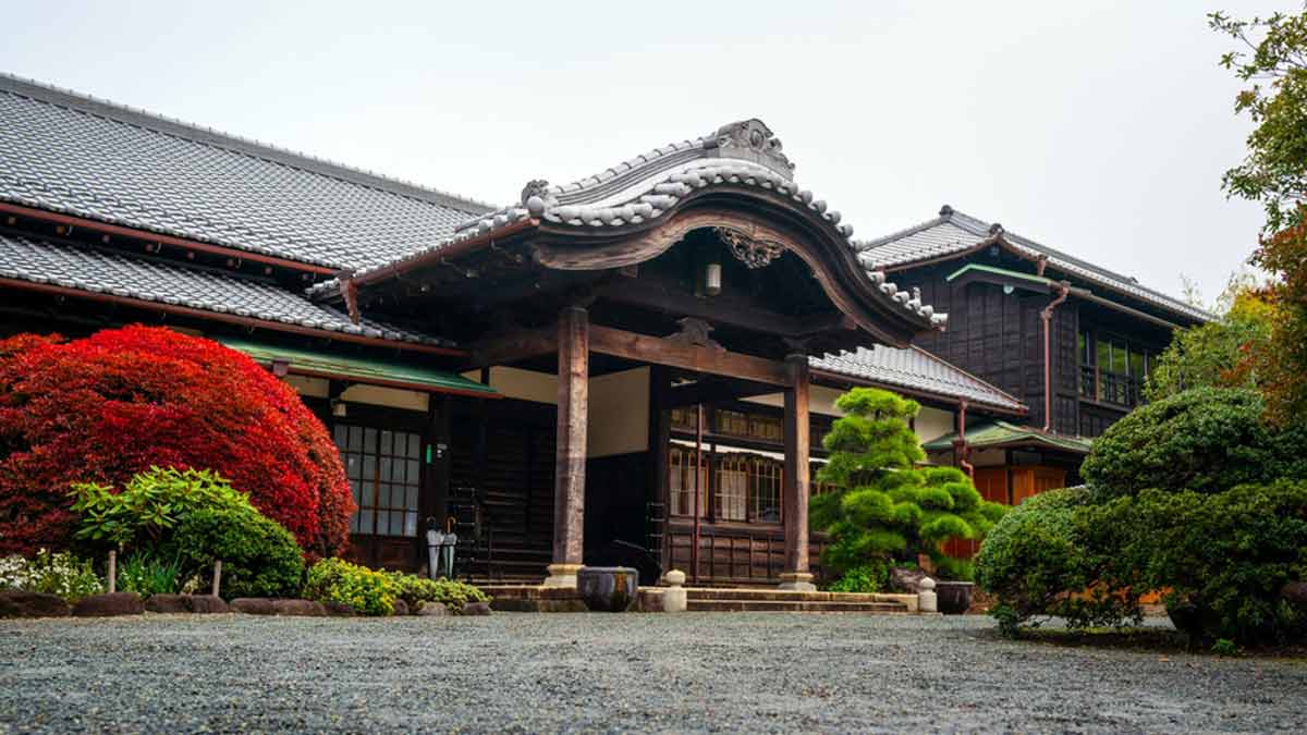 Gotokuji Temple: The birthplace of Maneki-Neko- The Week