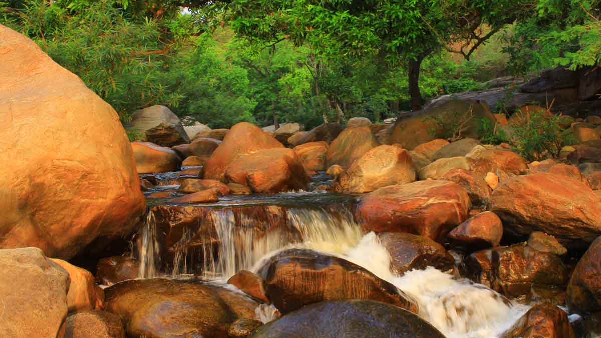 In the lap of Chinnar: A wildlife sojourn- The Week