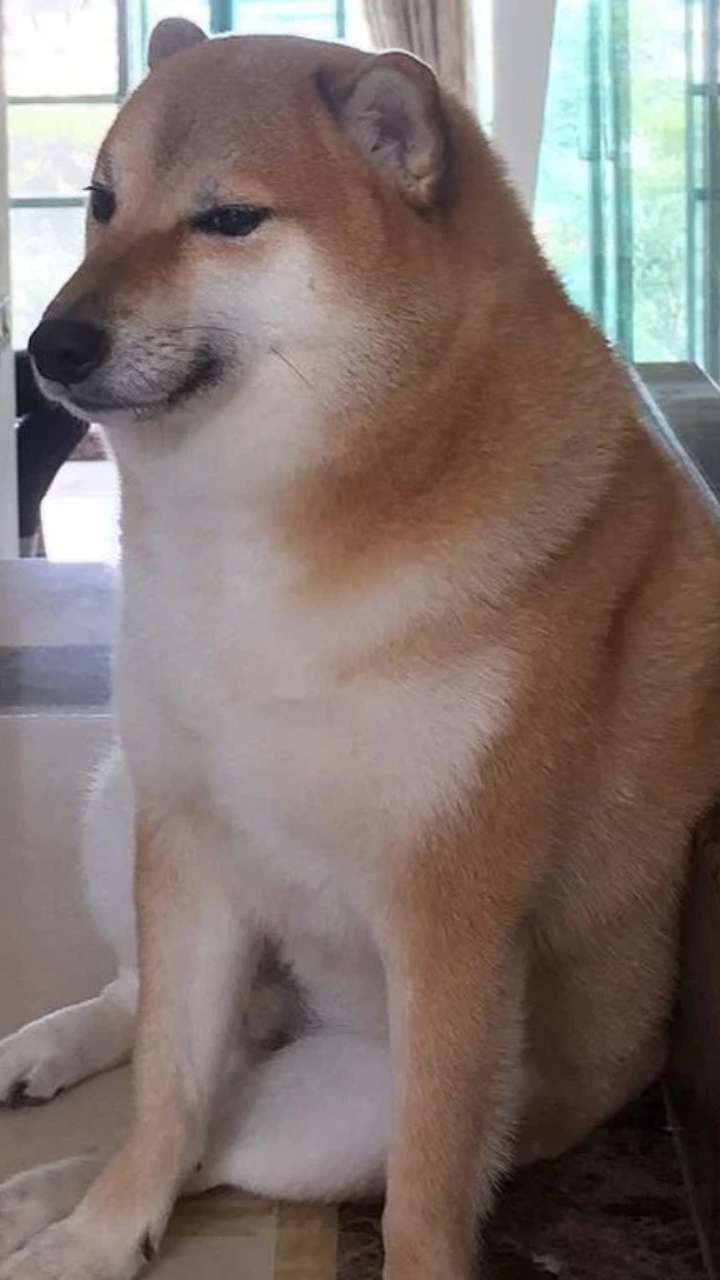 Entertainment - The Week