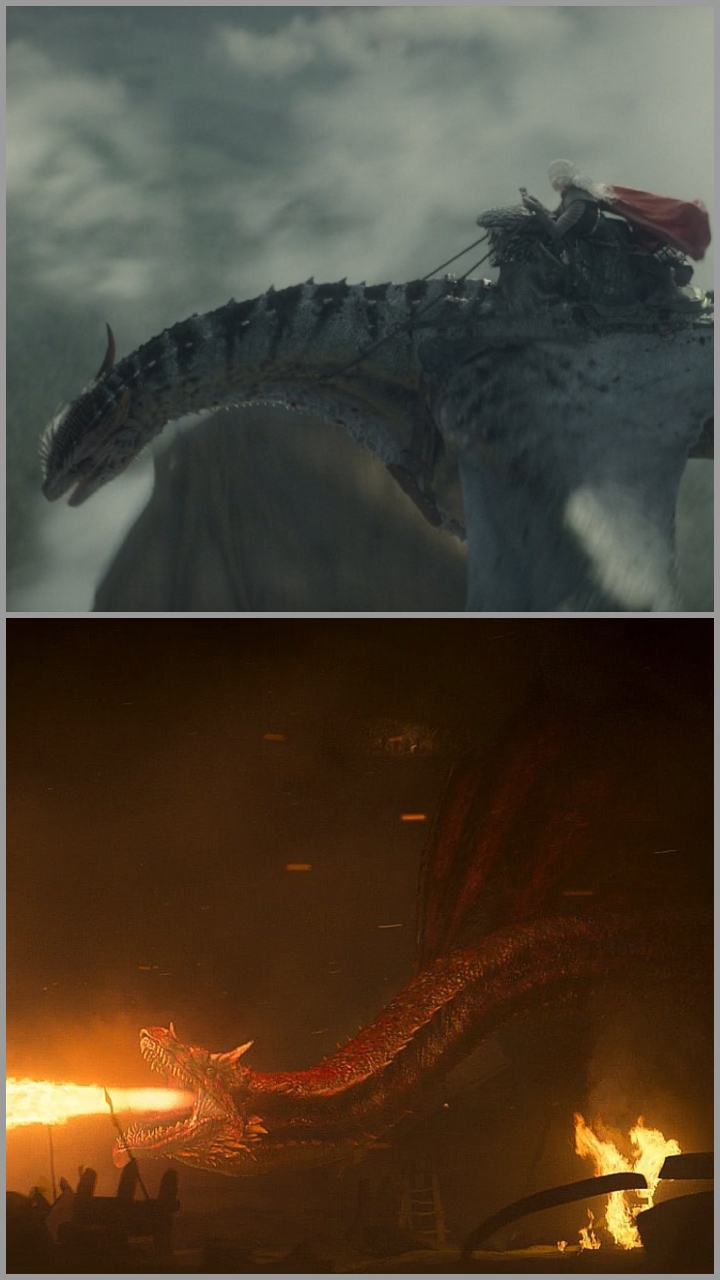 Web Stories - The Week